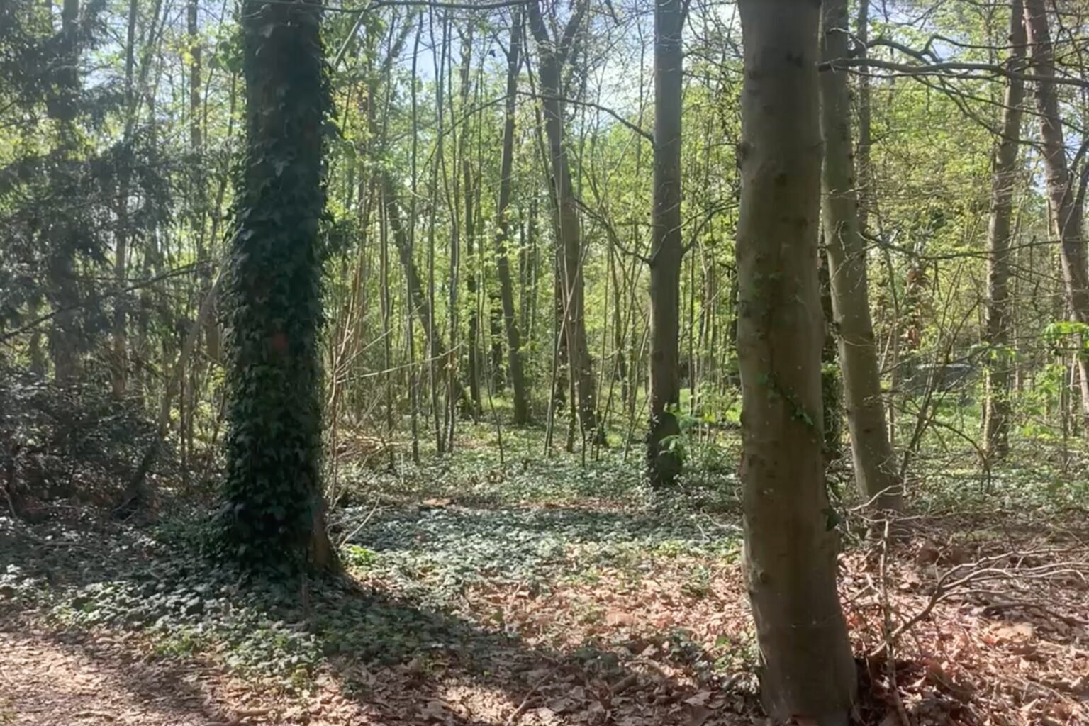 Municipales 2026 : le CNFPT dévoile son offre de formation